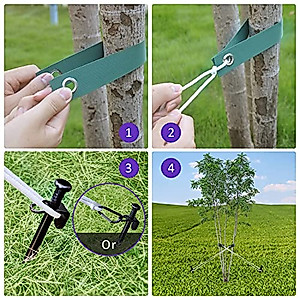 Heavy Duty Steel Tree Stake Kits,Tree Staking and Supports Kits for Young Trees Against Bad Weather, Include 3 PCS Tree Straps for Staking, 3 PCS 11.8 Inch Tree Stakes and 31.2 Feet Rope for Anchoring