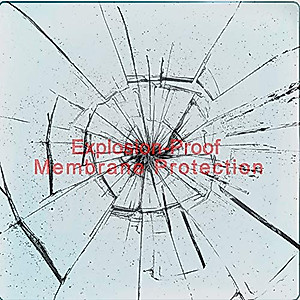 PETAFLOP 14x48 Inch Full Length Mirror Wall Mounted, Large Body Door Mirror with Rectangular Framed for Bedroom Bathroom Living Room Decor, Black