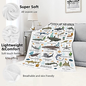Shark Blanket Shark Gifts for Kids Boys Girls Shark Lovers Types of Sharks Plush Cozy Flannel Cute Animal Educational Throw Sheet 50" X 40" Decor for Couch Daycare Nap Birthday Decorations Bedroom