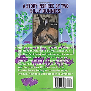 Lavender and Birch: The story of two bunnies' journey to stay together.