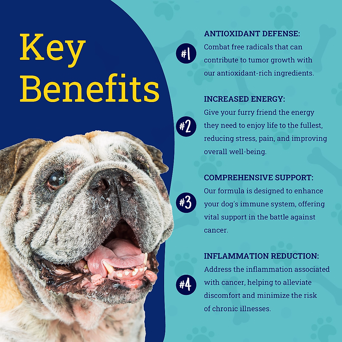 PetHeal Immune Guard - Advanced Support for Dogs with Cancer- Natural Ingredients - Peanut Butter Flavor - APRX. 55 Soft Chews