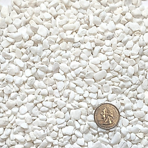 Midwest Hearth Natural Decorative White Bean Pebbles 1/5" Size (2-lb Bag)