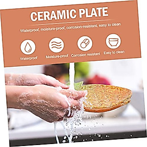 Cabilock Pastry Plate Ceramic Tray Jewlery Tray Ring Tray for Jewelry Candy Serving Tray Breakfast Plate Cute Dinnerware Fruits Serving Plate Fruits Storage Plate Adorable Breakfast Plate