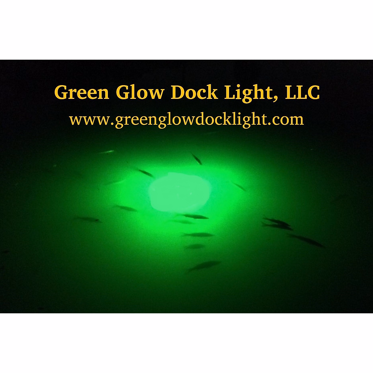 Saltwater Approved & Barnacle Burning Bulbs, Double Lamp Bright Green Underwater Fishing Light Kit, Dock & Fish Lights with 50' Cords (7,900 Lumens Each Bulb)