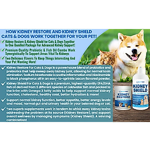 Kidney Restore and Kidney Shield for Cats & Dogs Two-Pack