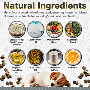 Pawlife All Natural Multivitamin Soft Chews for Dogs| Glucosamine Chondroitin for Joint Support with Probiotics for Gut & Immune Health| Mobility and Advanced Wellness Support|4-Month Supply