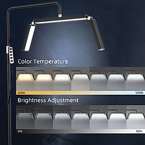 Yofuly Lash Lamp for Eyelash Extensions, Foldable Half Moon Light, Eyelash LED Floor Light, Estheticians Light with Phone Holder, Lash Light for Eyelash Tech, Makeup, Tattoo, Spa, Salon, Nails