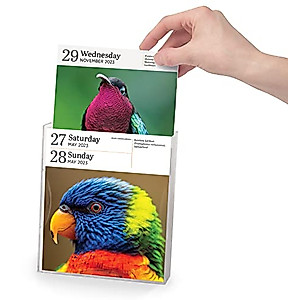 Audubon Birds Page-A-Day Gallery Calendar 2023: Hundreds of Birds, Expertly Captured by Top Nature Photographers
