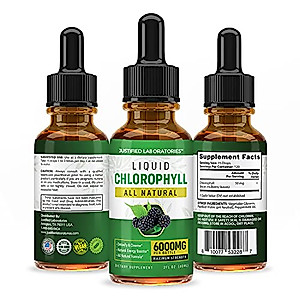 (3 Pack) Liquid Chlorophyll Drops Maximum Strength 6000MG Fast Absorbing All Natural Green Concentrate Supplement Loaded with Antioxidants Minerals Multivitamins 2 FL Oz