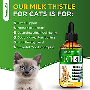 Сat Kidney Support | Milk Thistle for Cats | Kidney Support for Cats | Milk Thistle Cats | Cat Milk Thistle | Herbal Dietary Supplement | 2 Oz