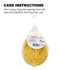 Jacent Deep Cleaning Sea Foam Bath and Body Sponge, 1-Pack, Sponge for Bathing, Scrubbing Sponge, Bathing Sponge, Exfoliating Sponge, Body Sponge for Adults, Teens, and Children