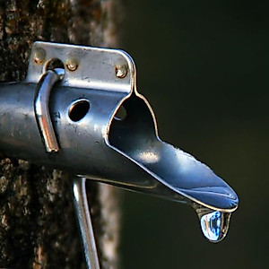 Maple Syrup Tree Tapping Kit - Includes (2) Maple Syrup Spiles and Maple Tree Tapping Drill Bit for Tap - Stainless Steel Spiles with Bucket Hook - Maple Tree Tapping Kit - Maple Syrup Supplies