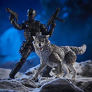 Hasbro G.I. Joe Snake Eyes and Timber Alpha Commandos Classified Series Set 6-Inch Action Figure