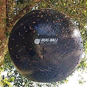 Bug Ball Replacement Ball, 6 Pack- Odorless Eco-Friendly Biting Fly and Insect Killer with NO Pesticides or Electricity Needed, Kid and Pet Safe