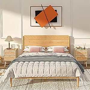 LAZZO Set of 2 Nightstands Wooden Night Stands with Rattan Drawers Home Bedside End Table for Bedroom (2 Drawers Design)