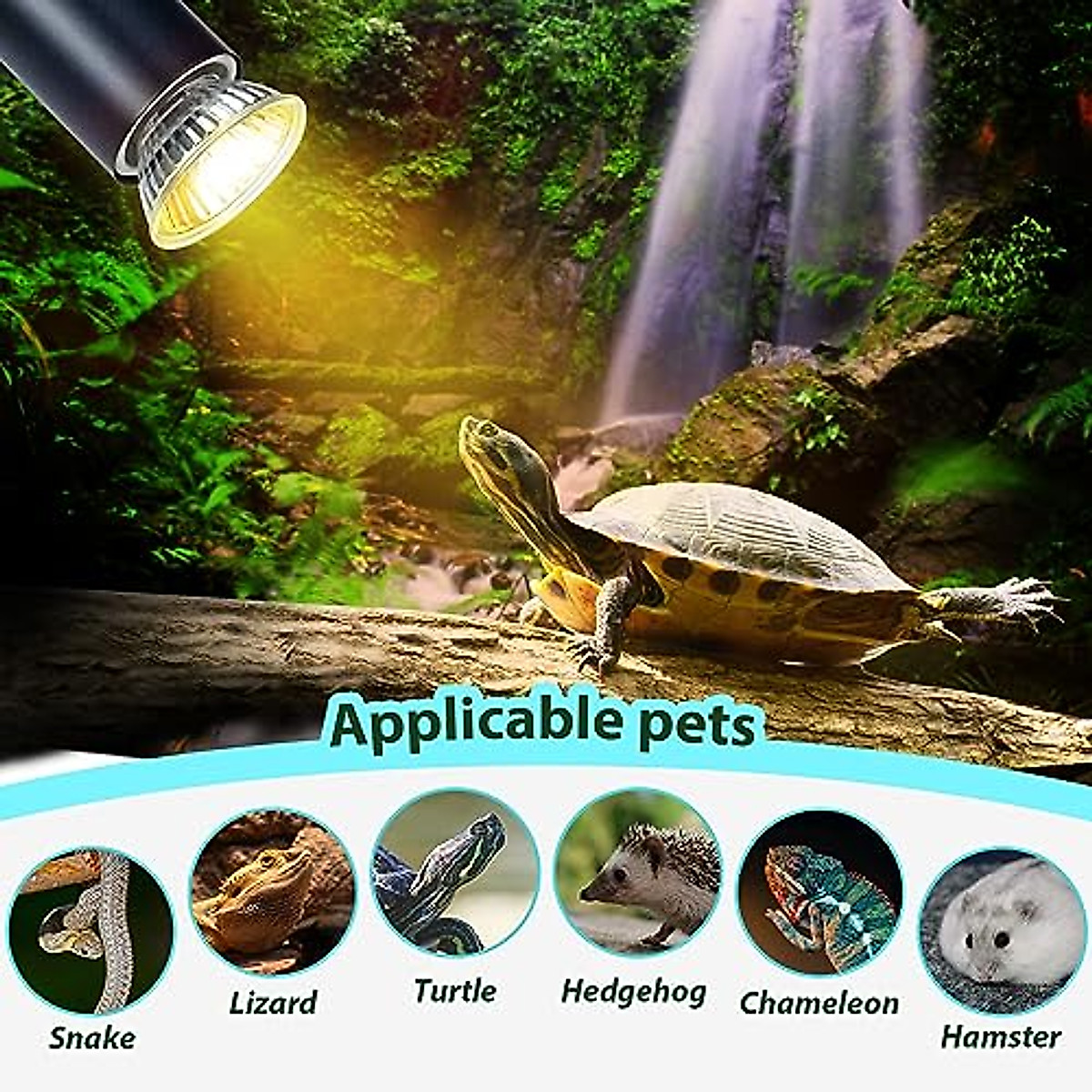 BINANO 4-Pack 50W UVA Reptile Heat Lamp Bulbs | UVB Reptile Light for Aquatic Turtles, Tortoises, Lizards, Bearded Dragons, Hedgehogs, Amphibians & Reptiles