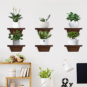 PHOENANCEE Small Floating Shelves,Mini Wall Shelf Set of 2,Wood Ledges Display Storage Decor Chic for Living Room,Bedroom,Kitchen,Office Decoration,Trapezoidal,7.8x5.9 Inch(Walnut)