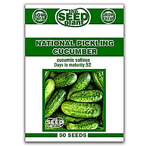 National Pickling Cucumber Seeds - 50 Seeds Non-GMO