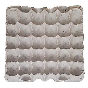 Dubia Roach Colony Starter Kit, 1Lb Organic Feeder Insect Gut Loading Chow, Water Crystals, 6 Egg Flats, for Breeding Insects, Cricket Alternative, for Bearded Dragons, Leopard Geckos, Reptiles