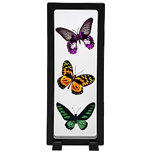 Dicunoy 6 PCS 3D Floating Display Case, Coins Display Stand Holder for Jewelry, Large Suspension Money Frame Box for Dollar Bill, Medallions, Fossils, Rocks, Stamps, 9" x 3.54" x 0.75"