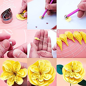 OTATEAN Cookie Cutters Food-Grade Stainless Steel Leaves Cookie Cutters Tear Shape Mold Pastry Baking Mould Raindrop Shape Cutter Set for Sugar, Cake, Pies, Snacks, Donuts, Bread Decoration (10 sets)