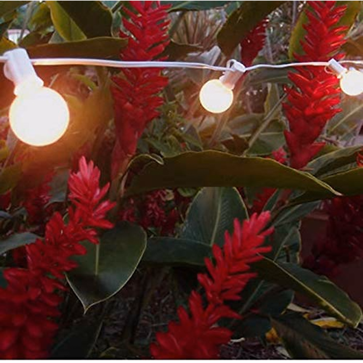 Romasaty 25FT Frosted White Lights G40 Globe Outdoor String Lights Patio Lights with 25 Frosted White Globe Bulbs - White Wire