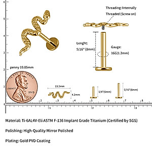 FINE4U 16G Gold Snake Piercing Jewelry for Conch, Tragus, Helix - ASTM F136 Titanium Hypoallergenic Cartilage Earring, Internally Threaded Nickel Free Flat Back Stud