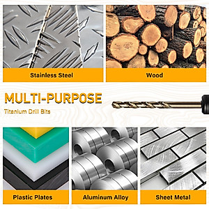 ROGAPER 13 PCS Titanium Coated Hex Shank Drill Bit Set, HSS Twist Drill Bit Sets, Impact Driver Drill Bits for Wood, Steel, Metal, Plastic, Quick Change Design (1/16-1/4)