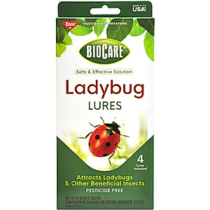 BioCare Ladybug Lures, Nontoxic and Pesticide-Free, Made in USA, 4 Count, Brown - S702