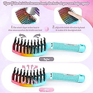 Boar Bristle Hair Brush, Curved Vented Detangler Brush Faster Blow Drying, Paddle Detangling Brush for Women Men Kids Wet Dry Long Curly Thick Straight Hair, Make Hair Shiny and Healthier(Green+Blue)