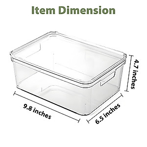 NDETN Clear Toy Storage Bins, Small Storage Containers with Lids, Small Plastic Storage Bins, Toy Organizers and Storage Bin, Clear Containers for Organizing (2 Pack)