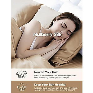 100% Pure Mulberry Silk Pillowcase for Hair & Skin - 22 Momme 6A High-Grade Fibers - Anti-Aging, Anti-Sleep Crease, Cooling Satin Pillowcases with Hidden Zipper, Best Gift Idea (Queen 20x30 Inches)