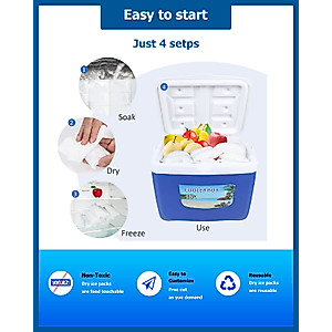 Friomex Dry Ice Packs - Ideal for Shipping Perishables and Drinks | Styrofoam Cooler Compatible | Includes Dry Ice Pellets | Keep Items Safe During Shipping | Hielo Seco