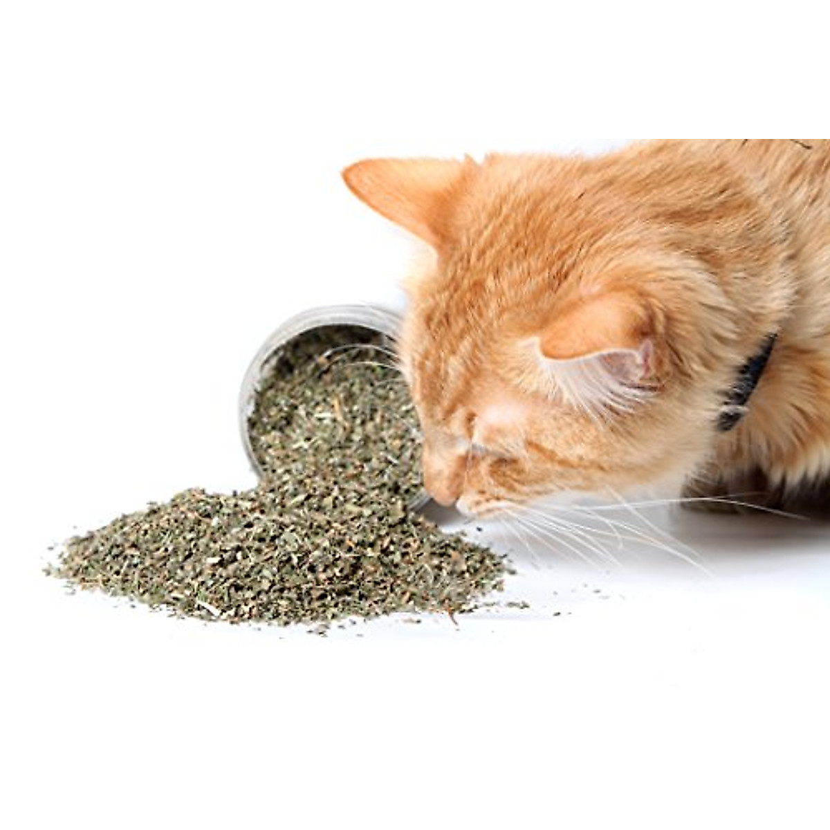 Organic Catnip by Cat Kush, Safe Premium Blend Perfect for Cats, Instilled with Maximized Potency your Kitty is Guaranteed to Go Crazy for! (1 Cup)
