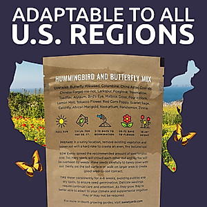 Bulk Wildflower Seeds Butterfly and Humming Bird Mix - 1/4 Pound Bag - Over 30,000 Open Pollinated Annual and Perennial Seeds