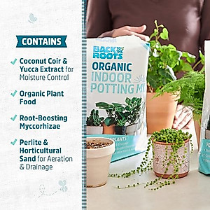 Back to the Roots 100% Organic Indoor Potting Mix (6 Quart), Promotes Healthy Houseplant Growth, Made in The USA