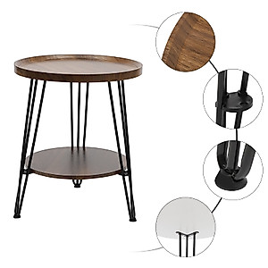 PaNeTnya 2-Tier Small End Table,Round Sofa Side Table with Storage Shelf and Metal Frame,Nightstand Bedside Table for Home Living Room Bedroom