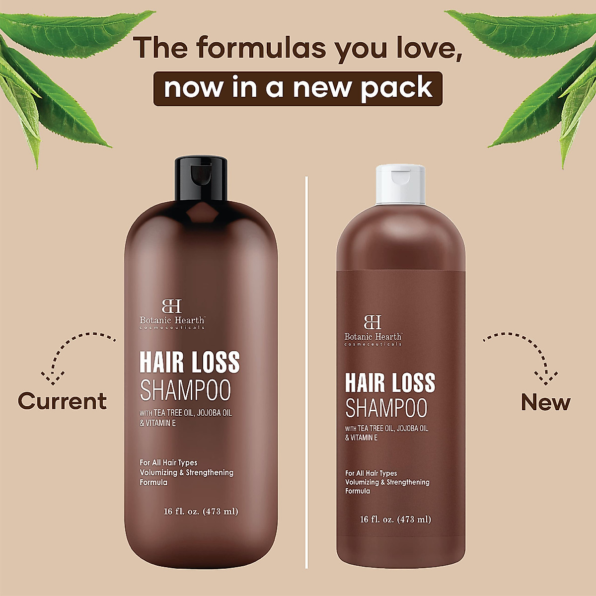 Botanic Hearth Hair Loss Shampoo | For Hair Growth | Volumizing & Thicking Formula | With Biotin, Tea Tree, Jojoba & Vitamin E | Sulphate Free | For Men & Women | 16 fl oz