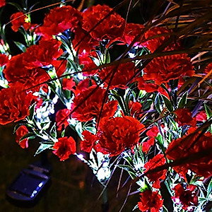 BeHiller Carnations Solar Flower Light Outdoor Decor,42Red Flowers Gifts for Grandma,Birthday,Mom Gifts Garden Pathway Lights,Unique Gifts Solar Decorative Lights for Patio,Grave Cemetery Yard-2Pack