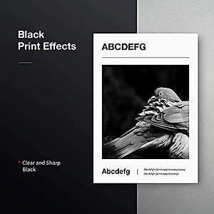 LEMERO 137 Black Compatible Toner Cartridge Replacement for Canon 137 CRG137 for MF232W MF236n D570 MF216N MF212W MF247dw MF227DW MF244dw Printer (Black, 2-Pack)