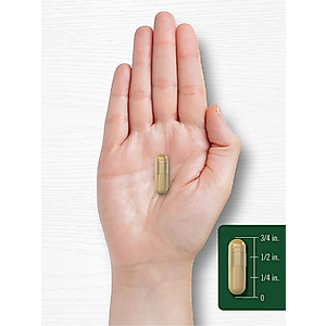 Carlyle Fenugreek Capsules | 300 Count | Non-GMO & Gluten Free Extract | Fenugreek Seeds