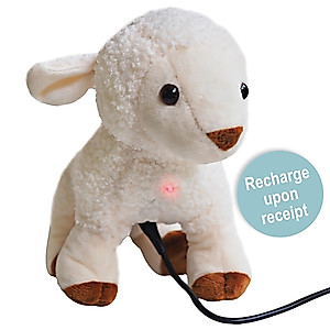 My Little Lamb - Singing Lamb w/Audio Bible, Stories and Songs (3+), Musical Stuffed Animal for Baby – Christian Toy for Children to Help Sleep & Memorize The Bible – Ideal Gift for Kids