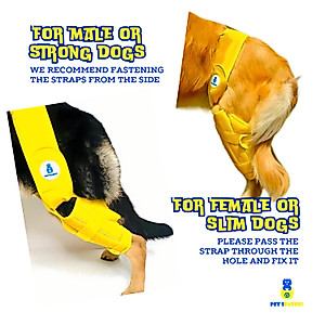 PET’SBARREL Dog Knee Brace for Torn ACL Hind Leg Problems - Support and Relief for Rear Limb Health. Lick Sleeve for Dogs Rear Leg. Dog Leg Braces for Back Leg. ACL Brace for Dogs Rear Leg.