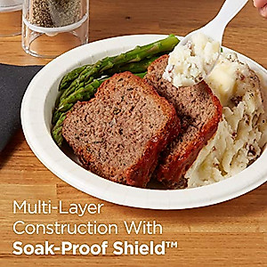 Dixie 8.5” Medium-Weight Paper Plates by GP PRO (Georgia-Pacific), Pathways, UX9WS, 500 Count (125 Plates Per Pack, 4 Packs Per Case)