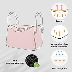 DGAZ Purse Pillow Shaper Insert for Luxury Handbags, Silky Pillow Shaper for Lindy 19/26/30/34 Bags(Pink,LD19)