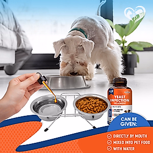 Natural Dog Yeast Infection Anti Itch Treatment - Itchy Ears, Skin & Allergy Symptoms Relief - Reduces Inflammation & Relieves Irritation - Herbal Medicine Supplement Drops - Made in USA