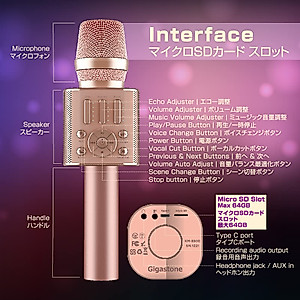 Gigastone] Bluetooth V5.0 Karaoke Microphone Wireless Portable Handheld, Speaker 10W, Voice Change, USB Driver & 3.5mm Jack, Home Party for iOS Android PC All Smartphone