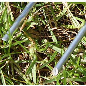 MUDSHI Garden Plant Support Cage, 31 PCS Gardening Plant & Flower Lever Loop Gripper Cages