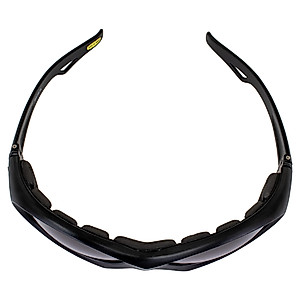 Birdz Eyewear Gull Jet Ski Watersport Floating Goggles Interchangeable Between Goggles and Sunglasses Black Frame with Smoke Mirror Lens