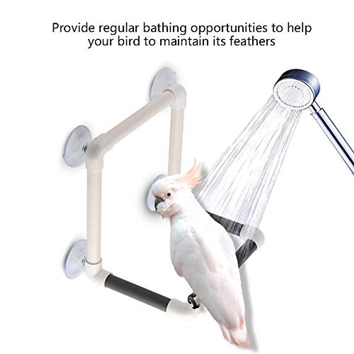 Tnfeeon Portable Birds Shower Perch, Parrots Stand with Suction Cups Window Shower Bath Wall Standing Toy for Medium and Small Parrots Birds